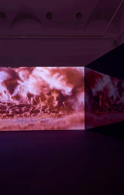 Leonor Serrano Rivas Natural Magic By Museo Reina Sofía Issuu