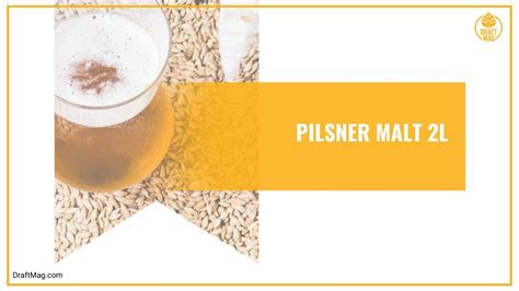 Beer Malt Types A Comprehensive Guide On The Roots Of Beer