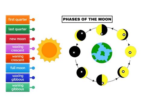 Phases Of The Moon Labelled Diagram