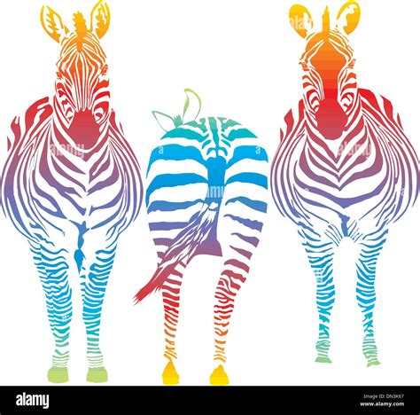 Pictures Of Colorful Zebras