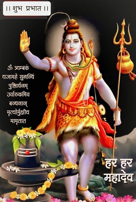 Shubh Prabhat 🌞 Good Morning Images Good Morning Image Quotes Good Morning Wishes