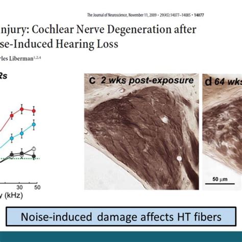Example Of The Communication World Of The Phi Download Scientific