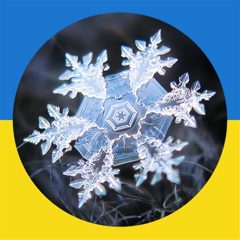 Alexey Kljatov Official Website