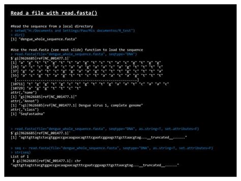 Seqinr Biological Data Handling Ppt