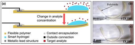 A Sensor Platform For Smart Hydrogels In Biomedical Applications