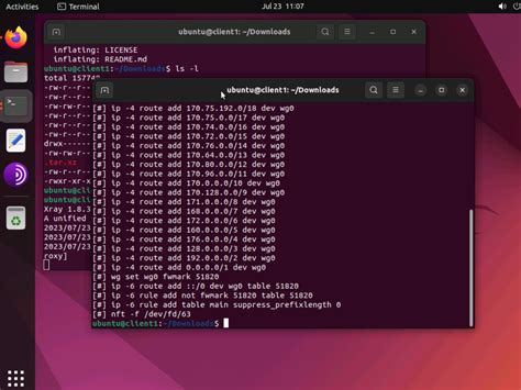 WireGuard Over Xray