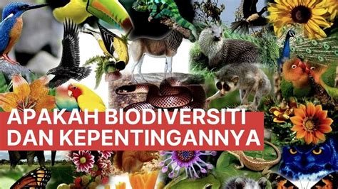Apakah Biodiversiti Dan Kepentingannya 01 Youtube
