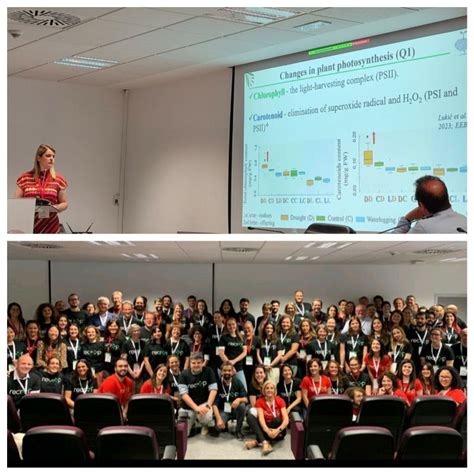 Nataša Lukić On Linkedin Recropcost