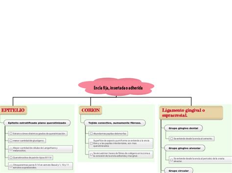 Galería Pública Encía Mapas Mentales