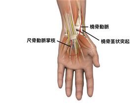動脈カテーテル挿入 Procedures Consult