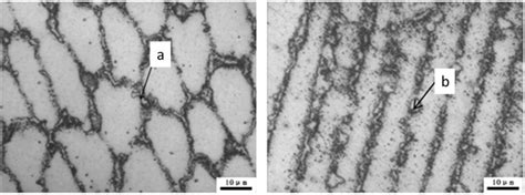 Different Cross Sections Of The Solidification Subgrain Boundary And Nb Download Scientific