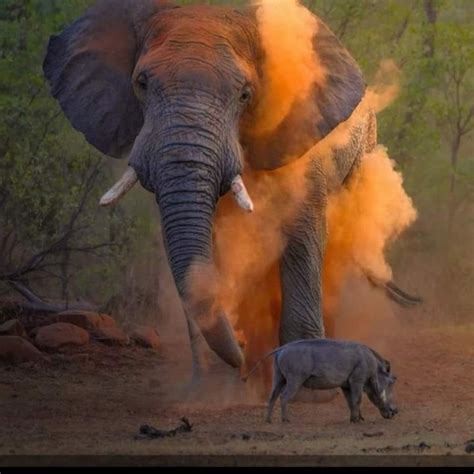 Namibia Roads Youtube