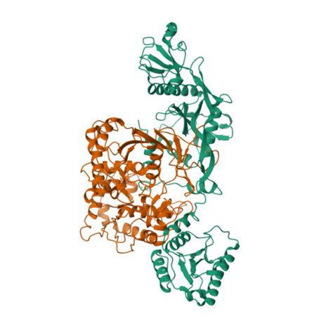 Rcsb Pdb 8ozc Cryoem Structure Of Sparta Complex Heterodimer Apo