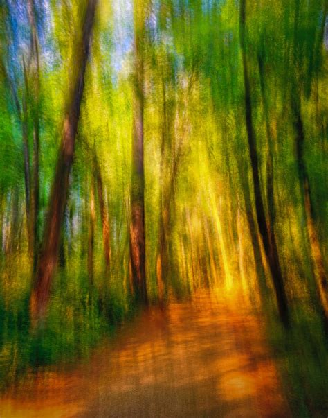 Group 77 Psa Digital Dialogue