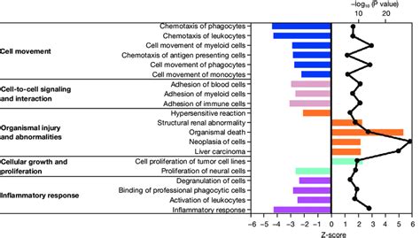 Ipa Analysis Of Mrna Molecular Function In The Mirna Mrna Regulatory