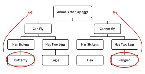 P3 Science Classification Topic The Science Shifu