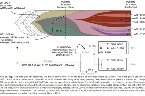Gene Fusion May Cause Explosive Growth In Chronic Myeloid Leukaemia