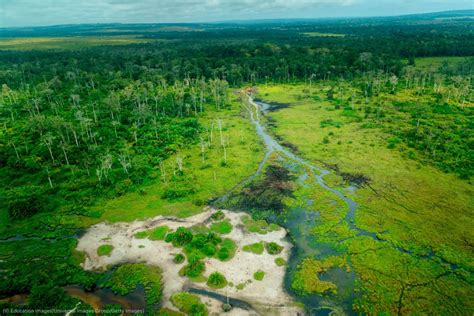 Conservando O Precioso Ecossistema Da Bacia Do Congo Téla Nón
