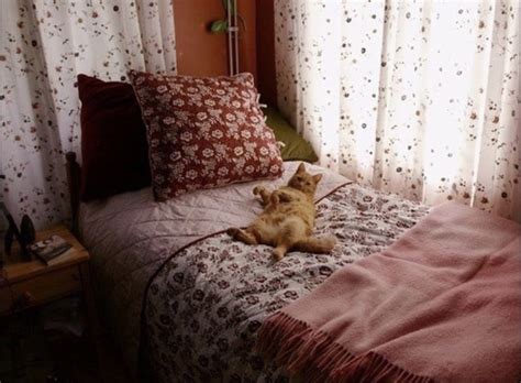 MIKEY FUCKING WAY EVERYONE