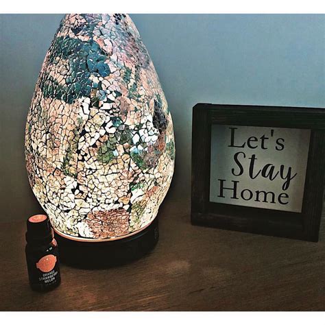 The Scentsy Diffuserits Absolutely Colette Gunnell Independent