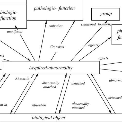 Graph Of Spatial Relations Of The Abnormalities Module Download