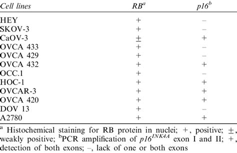 The Status Of The Rb And P16 Ink4a Gene In Ovarian Cancer Cell Lines