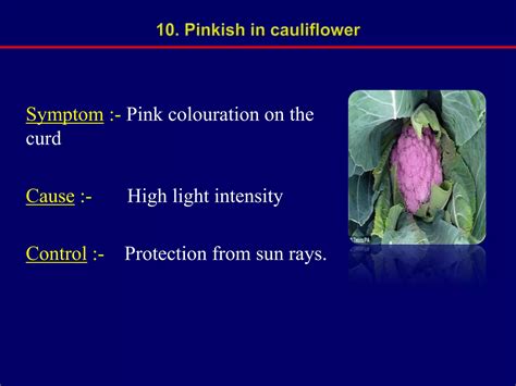 Physiological Disorder Of Vegetable Crops Pptx
