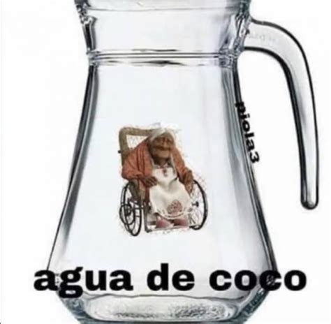 Coconut Water Meme At Indiana Seery Blog