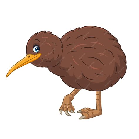 Un Pájaro Kiwi Feliz De Dibujos Animados Sobre Un Fondo Blanco Vector