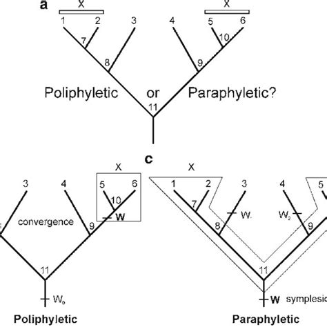 Pdf Introduction To Botanical Taxonomy