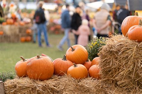 The Ultimate Guide To Fall Festivals Around St Louis Fox 2