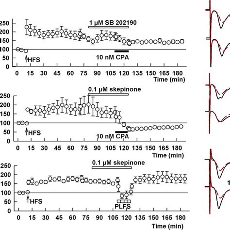 The Diagram Depicts Contributors To Ta Induced Sc Ltp D Based On Download Scientific Diagram