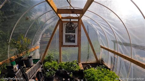 Homemade Greenhouse Pvc Pipe Homemade Ftempo