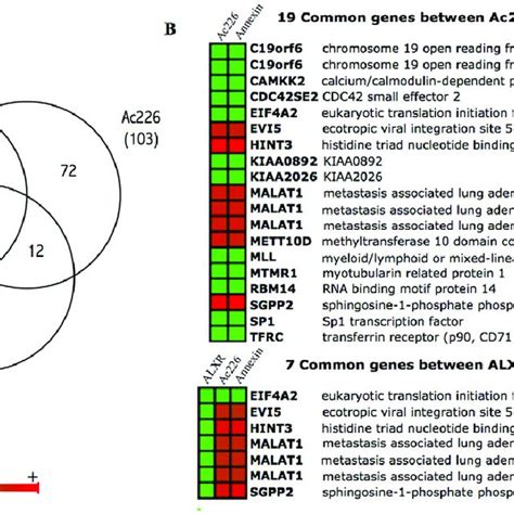 Connectivity Map Results Connectivity Map Analysis Of Differentially Download Scientific