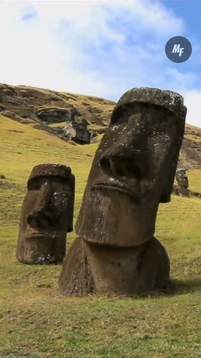 Moai 🗿 The Sigma Statue Shorts Facts Moai Sigma Statue Youtube