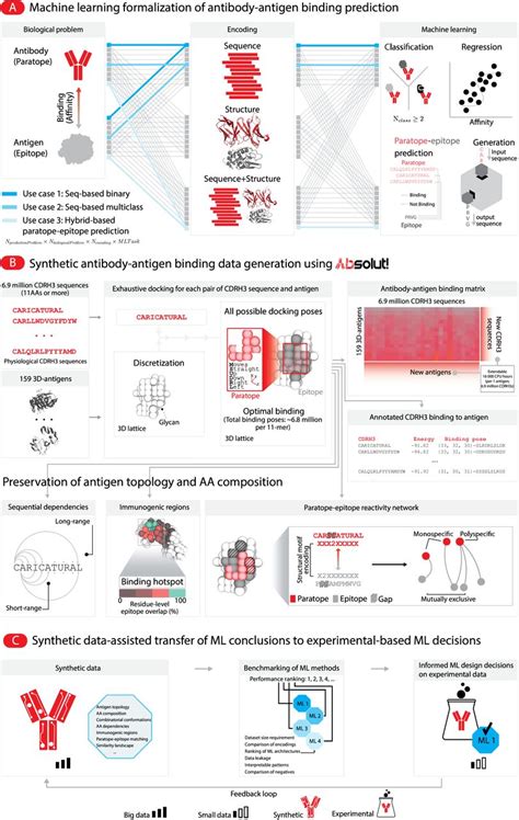 Antigen Structure