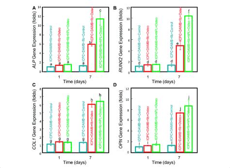 Qrt Pcr Assay Of Osteogenic Differentiation Of Hpdlsc Microbeads
