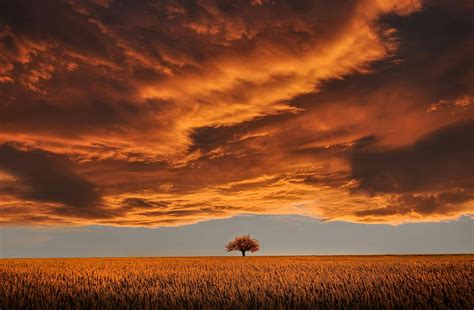 284374 Fotos Y Imágenes De Windows 11 Fondos De Pantalla Naturaleza