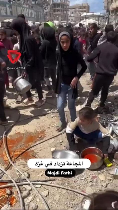 Its Been 7 Weeks Since Any Food Or Water Has Entered Gaza Album On