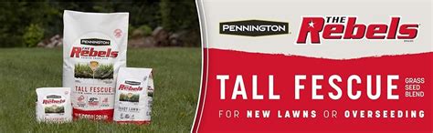 Pennington The Rebels Tall Fescue Tall Fescue Grass Seeds