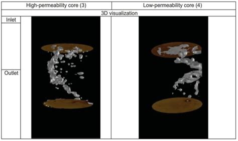 Dissolution Pattern In Dual Core Study Into Low Permeability Contrast Download Scientific