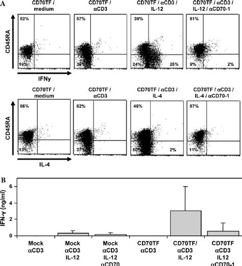 Cd27cd70 Interactions Promote T H 1 Differentiation A Naive Cd4 T