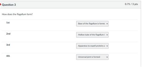 Solved Question 3075 3 ﻿ptshow Does The Flagellum