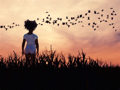 Free Images Grass Silhouette Cloud Sky Sunset Sunlight Morning