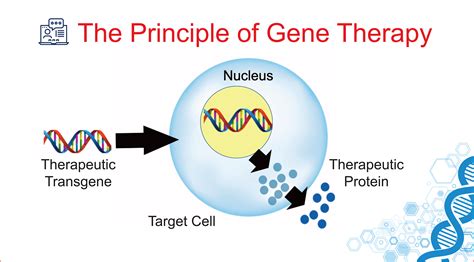 Gene Therapy Hemophilia