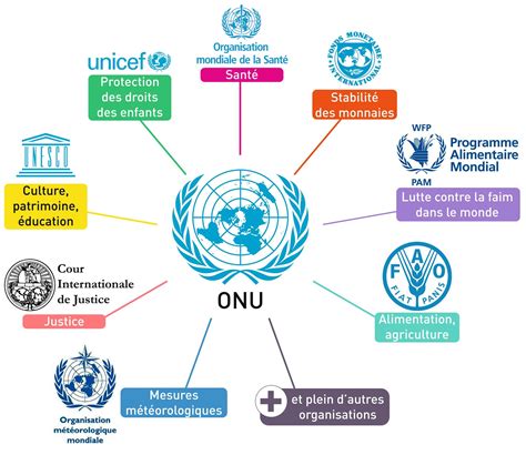 Organos Principales Onu Quels Sont Les Organes Principaux De Lonu