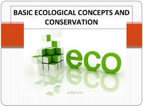 Basic Ecological Concepts And Conservation People Often Use