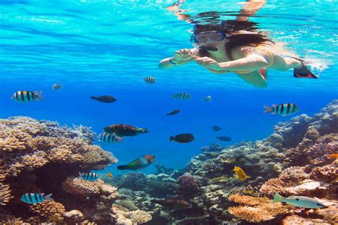 11 Top Molokini Snorkel Tours On Catamarans Yatchs And More