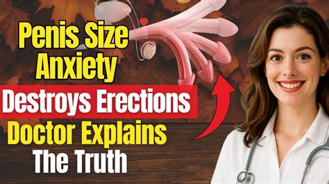 Penis Size Anxiety Urologist Explains Erections Circulation And