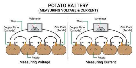 Measure The Voltage And Electric Current Of The Potato Battery 44253735